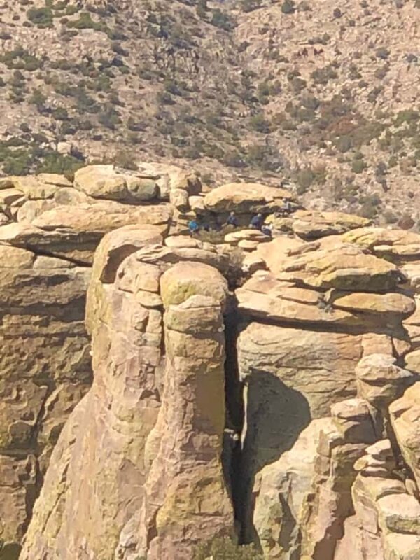 This guid tour lets the customers experience 4 bio zones. - An In-Depth Look at the Biosphere Adventure