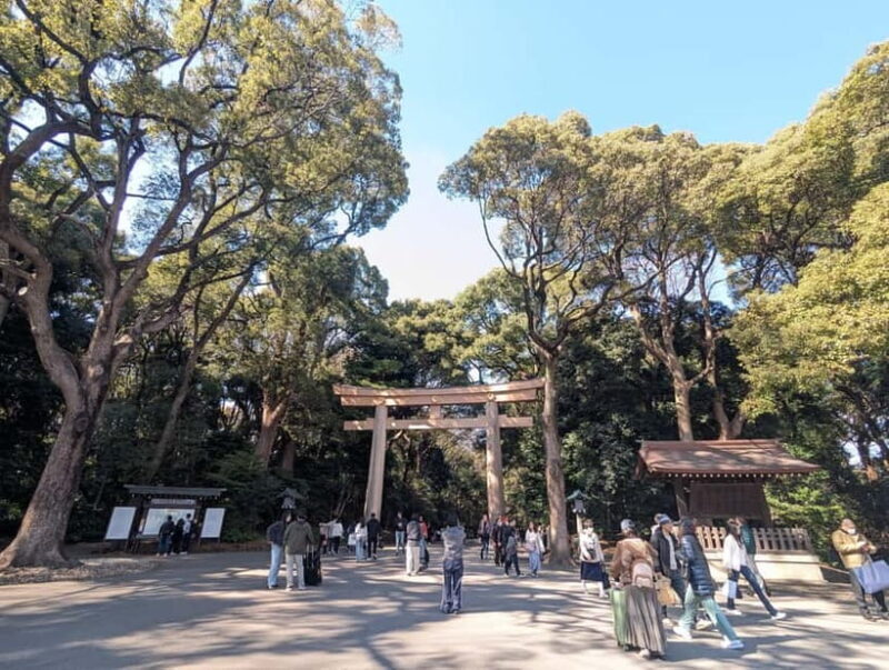 This is Real TOKYO!! SHIBUYA Tour from TGP!! - An In-Depth Look at the Shibuya Tour Experience