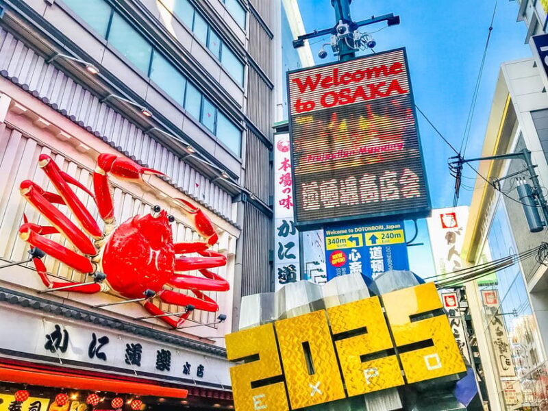 This is The Best Walking Tour, All Must-sees in Osaka! - What This Tour Means for Travelers