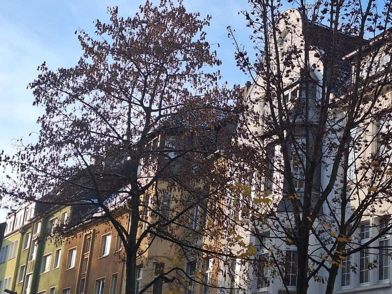 This is what made Dortmund rich to this day. Westenhellweg: Tour including a drink - Authentic Feedback from Past Travelers