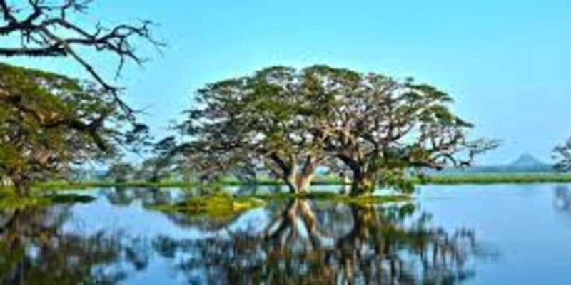 Thissa Lake Boat Safari - Final Thoughts