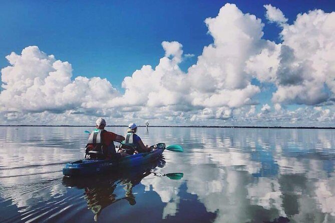 Thousand Island Mangrove Tunnel, Manatee & Dolphin Kayak Tour w/Cocoa Kayaking - The Wildlife: Expect the Unexpected