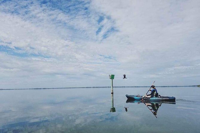 Thousand Island Mangrove Tunnel, Manatee & Dolphin Kayak Tour w/Cocoa Kayaking - Equipment and Comfort