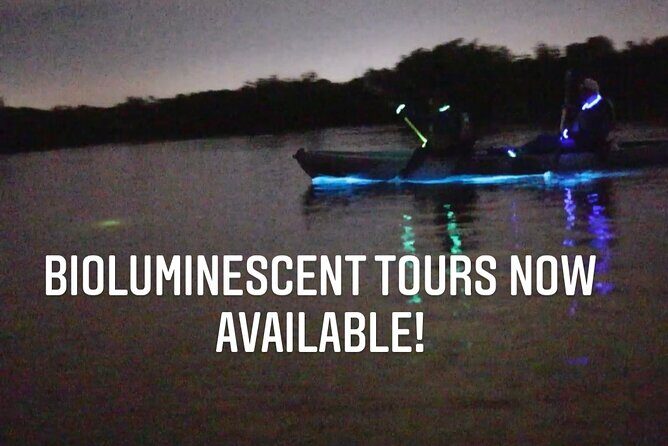 Thousand Islands Bioluminescent Kayak Tour with Cocoa Kayaking! - Final Thoughts: Who Is This Tour For?
