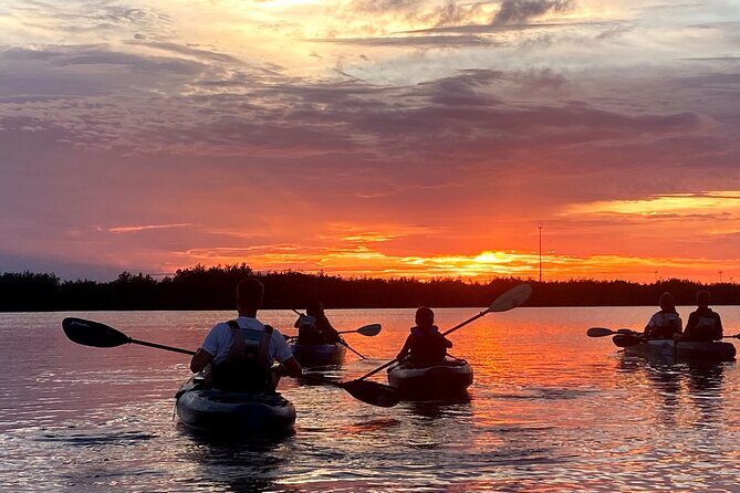 Thousand Islands Mangrove Tunnel & Bio Comb Jelly Sunset Tour - The Value Proposition