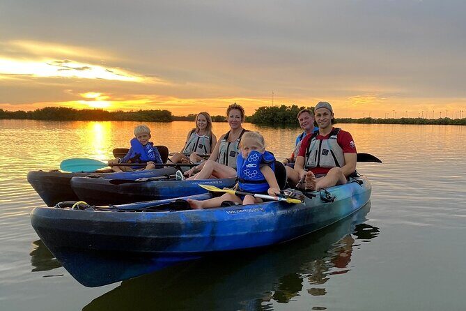 Thousand Islands Mangrove Tunnel & Bio Comb Jelly Sunset Tour - Who Will Enjoy This Tour?