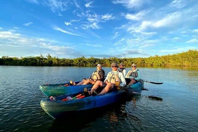 Thousand Islands Mangrove Tunnel & Bio Comb Jelly Sunset Tour - Final Thoughts