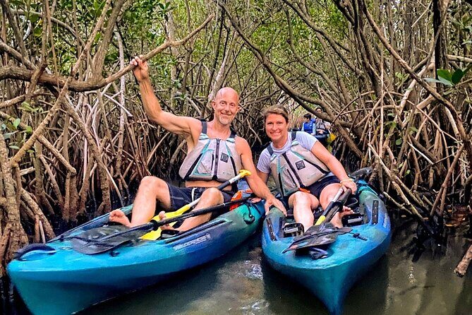Thousand Islands Mangrove Tunnel & Bio Comb Jelly Sunset Tour - FAQ