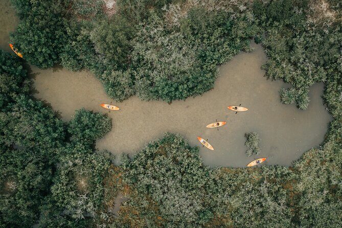 Thousand Islands Mangrove Tunnel Kayak Tour with Cocoa Kayaking! - Who Will Love This Tour?