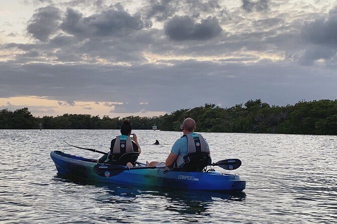 Thousand Islands Mangrove Tunnel Sunset Kayak Tour with Cocoa Kayaking! - What You’ll Experience: A Detailed Breakdown