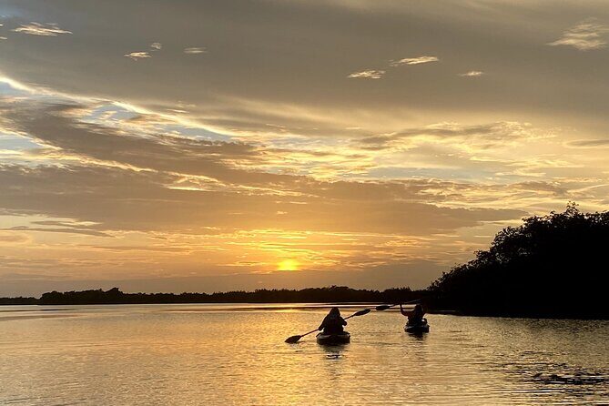 Thousand Islands Mangrove Tunnel Sunset Kayak Tour with Cocoa Kayaking! - The Sum Up: Who Is This Experience Best For?