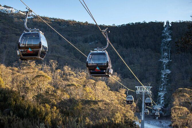 Thredbo or Perisher Bus Trip from Canberra - In The Sum Up: Who Should Consider This Trip?