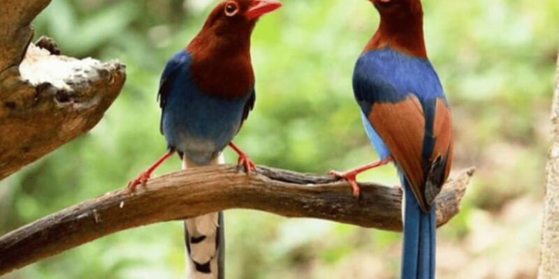 Three-Day Kitulgala Adventure Excursion - The Real Value: Is It Worth the Cost?