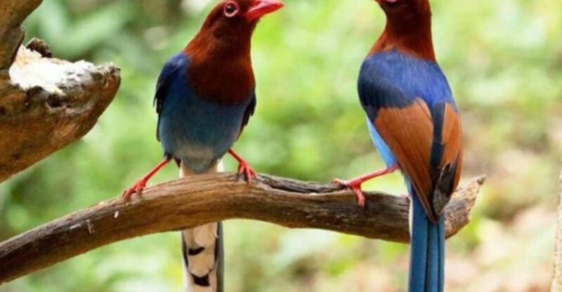 Three-Day Kitulgala Adventure Excursion - FAQ