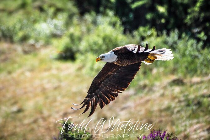 Three Day Private Denali Photo Workshop - The Experience from a Traveler’s Perspective
