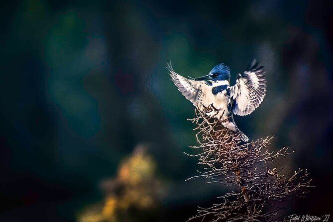 Three Day Private Denali Photo Workshop - FAQ