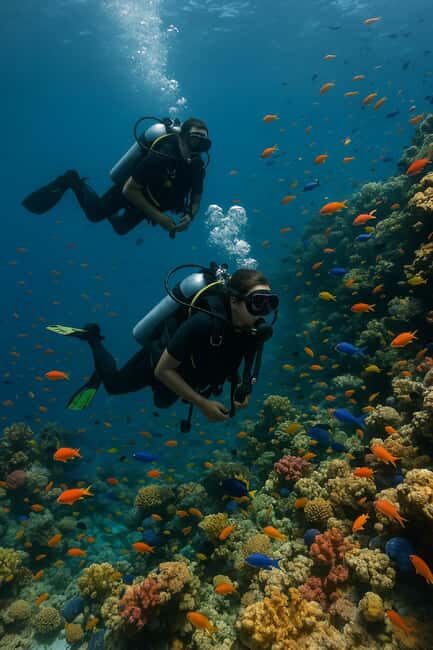 Three-Days Scuba Diving Certification Program  Negril - What This Course Offers