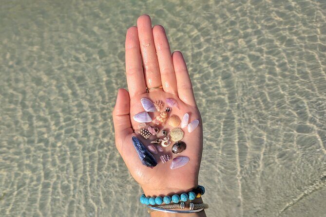 Three Hour Shelling Cruise to Shell Key Preserve from John's Pass - Starting Point and Logistics