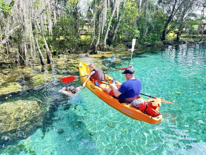 Three Sisters Clear Kayak and Snorkeling Manatee Tour - A Detailed Look at the Tour Experience