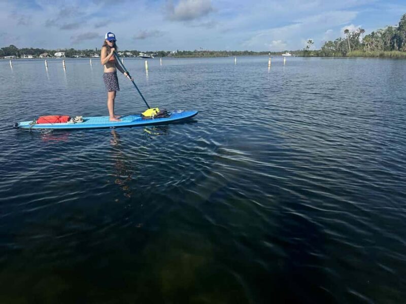 Three Sisters Clear Kayak and Snorkeling Manatee Tour - Authentic Encounters and Genuine Reviews
