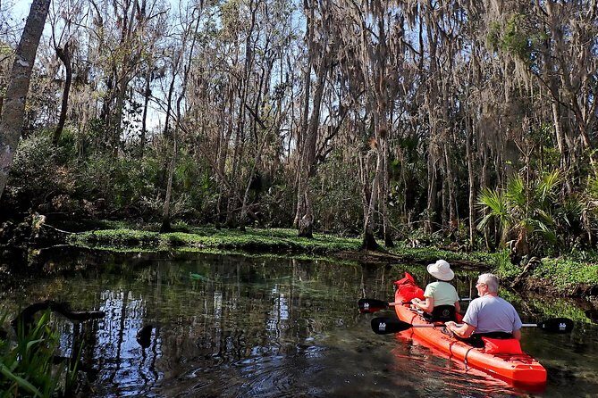 Three Sisters Springs Kayak And Swim Eco-Tour Crystal River - Discover the Magic of the Three Sisters Springs Kayak and Swim Eco-Tour in Crystal River