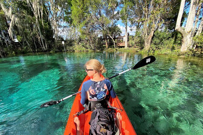 Three Sisters Springs Kayak And Swim Eco-Tour Crystal River - The Value of the Experience