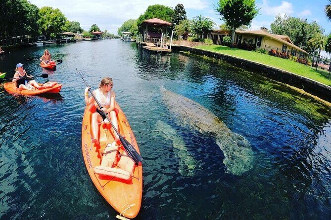 Three Sisters Springs Kayak And Swim Eco-Tour Crystal River - Authentic Reviews and What They Say