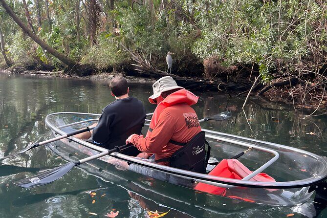 Three Sisters Sunset and Glow Clear Kayak & Wildlife Tour - Authentic Views from Travelers