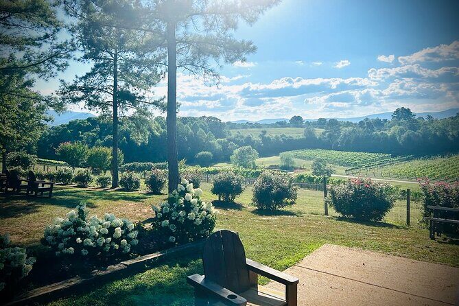 Three Vineyards Half Day Private Wine Tour From Asheville - An In-Depth Look at the Experience