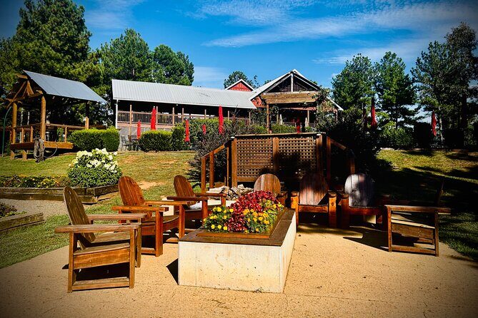 Three Vineyards Half Day Private Wine Tour From Asheville - What We Liked Most