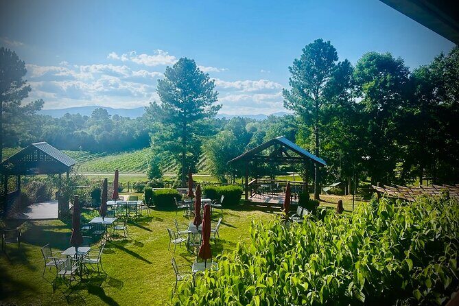 Three Vineyards Half Day Private Wine Tour From Asheville - FAQ