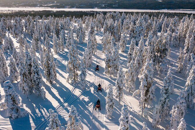 Thrill of Snowmobiling for Adults Only - Why This Tour Is a Great Choice