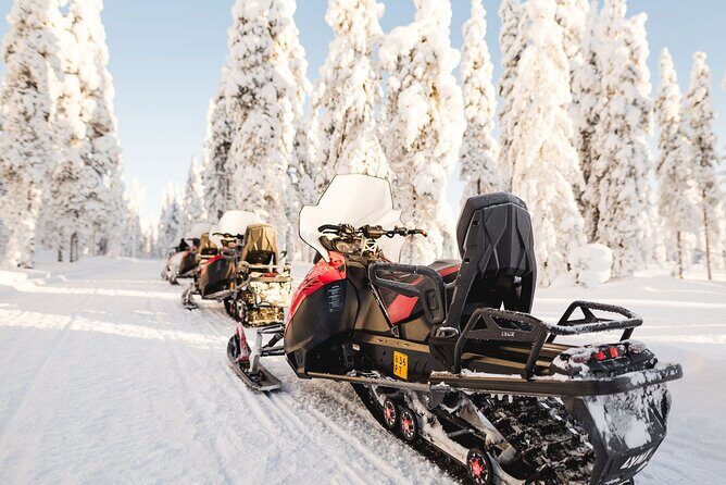 Thrill of Snowmobiling for Adults Only - FAQ: Your Common Questions Answered