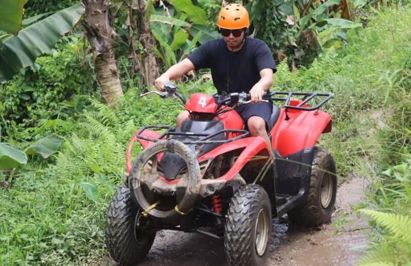 Thrill Seeker's Escape: Bali Jungle & Waterfalls ATV Tour - The Itinerary: What to Expect from Start to Finish