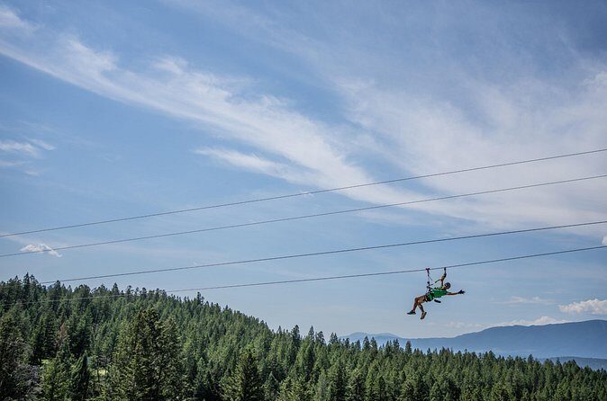 Thrilling 2-Hour Zipline Tour in Radium Hot Springs - The Value in Context
