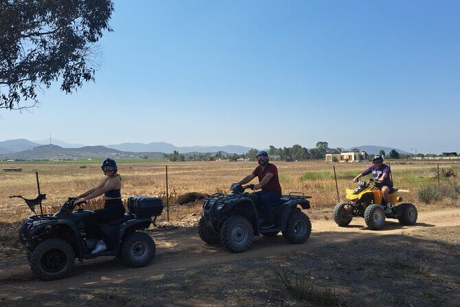 Thrilling ATV Ride Through Vineyards with Port Pickup - Is It Worth the Price?