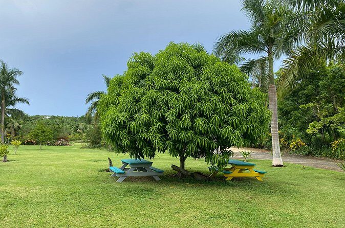 Thrilling farm adventure in Trelawny - Who Will Love This Tour?