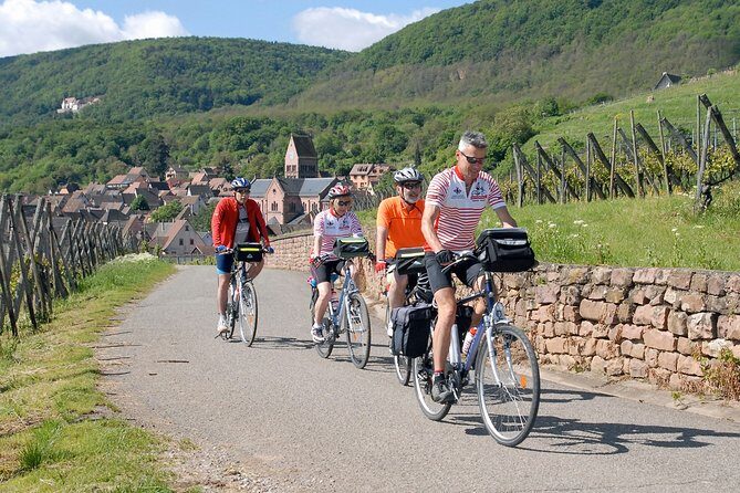 Through Alsace Vineyards and Wine Villages Private Bike Tour - Exploring the Alsace Vineyards and Villages by Bike: A Detailed Review