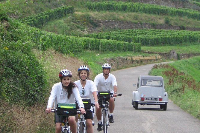 Through Alsace Vineyards and Wine Villages Private Bike Tour - Key Points