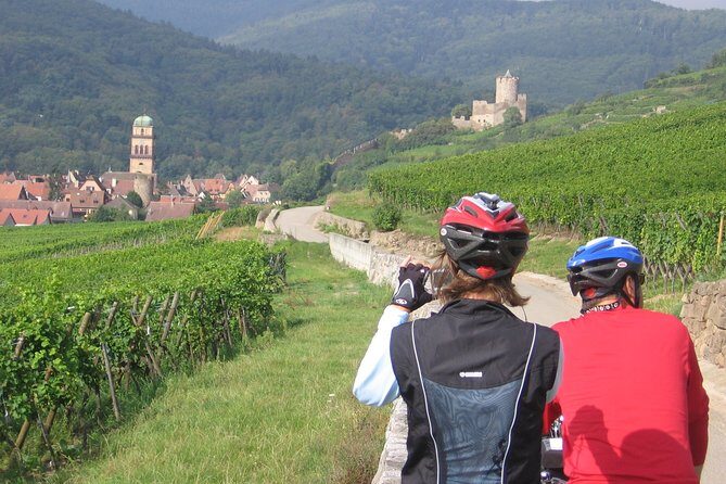 Through Alsace Vineyards and Wine Villages Private Bike Tour - What To Expect from the Experience