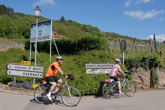Through Alsace Vineyards and Wine Villages Private Bike Tour - Pricing and Value Assessment