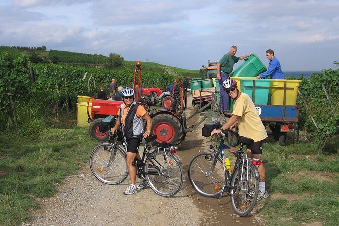 Through Alsace Vineyards and Wine Villages Private Bike Tour - The Experience in Context: Who Would Love This?