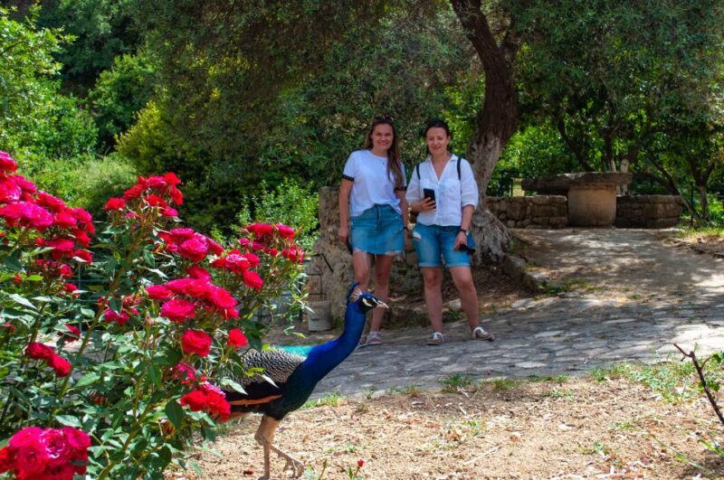 Through Heart of Crete to South & Wine Tasting Private tour - Key Points