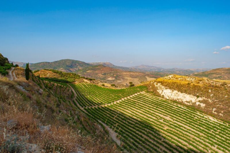 Through Heart of Crete to South & Wine Tasting Private tour - Final Thoughts