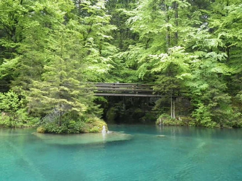Thun: Blausee, Spiez Castle, & Lake Thun Private Guided Tour - Starting Point and Transportation