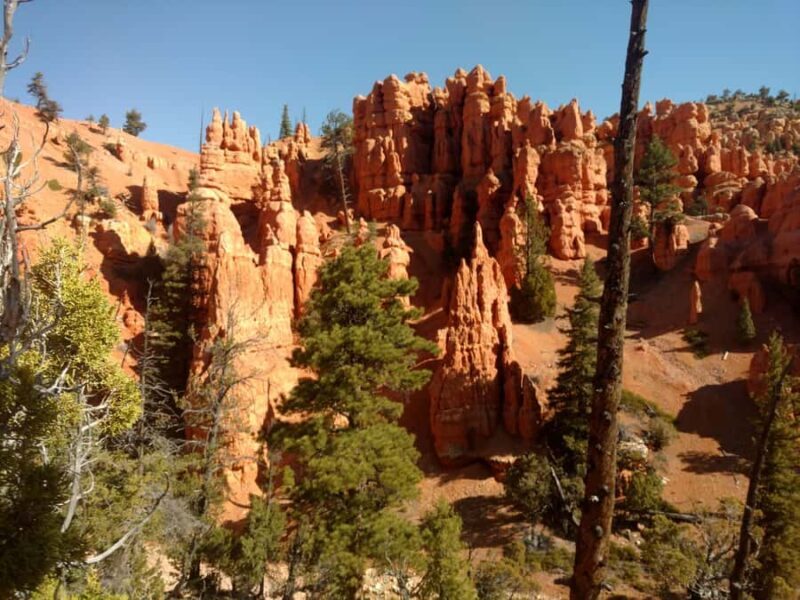 Thunder Mountain Trail: Scenic Horseback Ride - Key Points