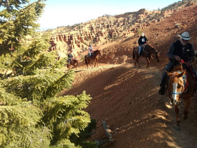 Thunder Mountain Trail: Scenic Horseback Ride - Navigating the Itinerary
