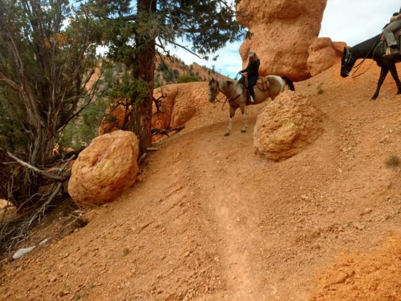Thunder Mountain Trail: Scenic Horseback Ride - What Makes This Tour Stand Out