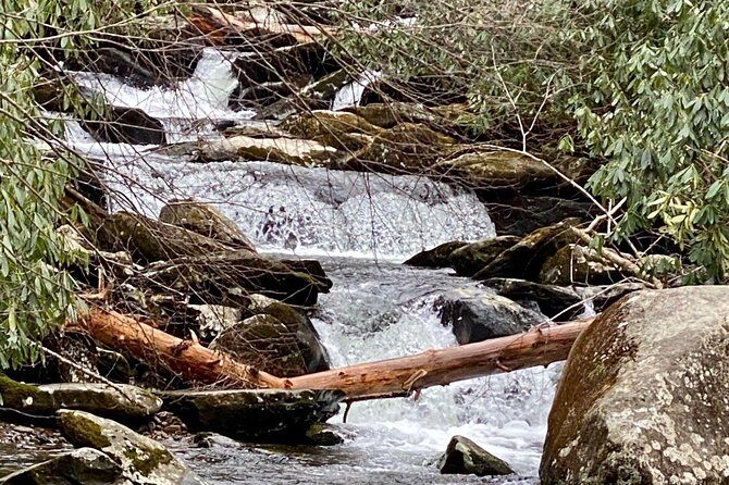 Thundering Streams and Falls of the Smokies Guided Hiking Tour - A Deeper Look at the Tour Experience
