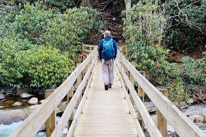 Thundering Streams and Falls of the Smokies Guided Hiking Tour - The Value of a Guided Small-Group Hike